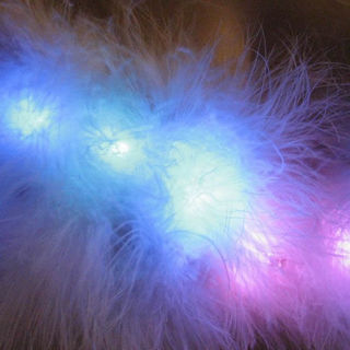 Feather Bras - Enlighted Designs